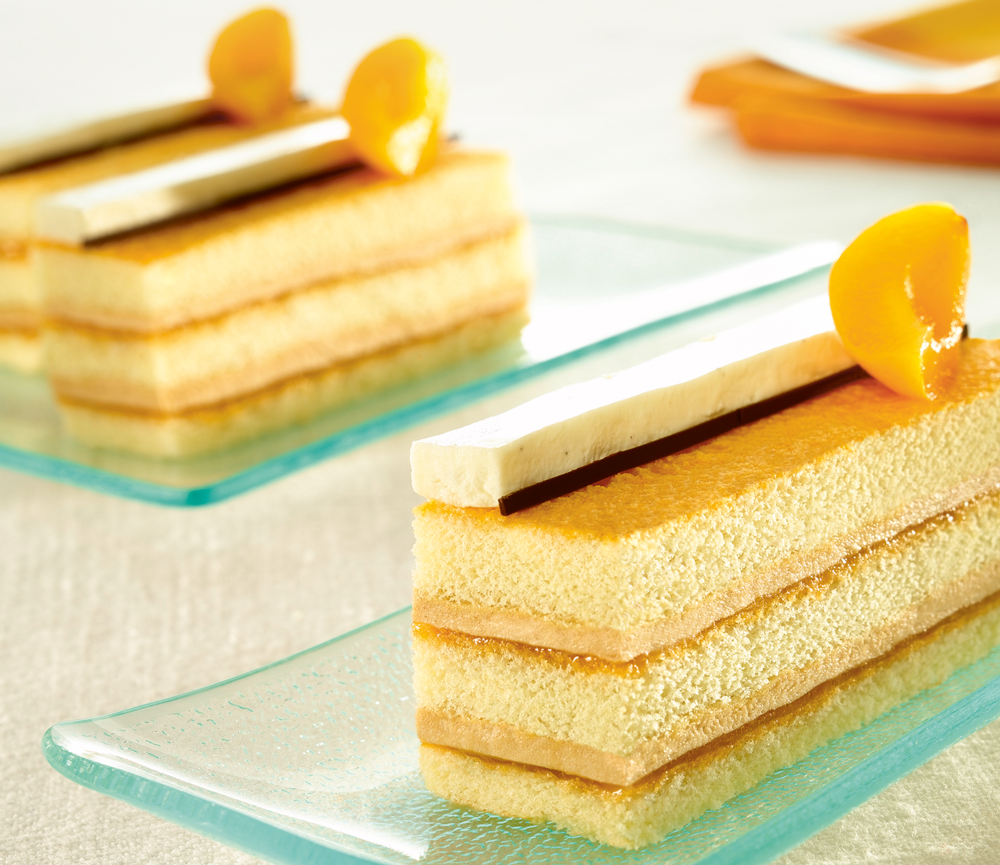 Tegral Biscuit - Puratos